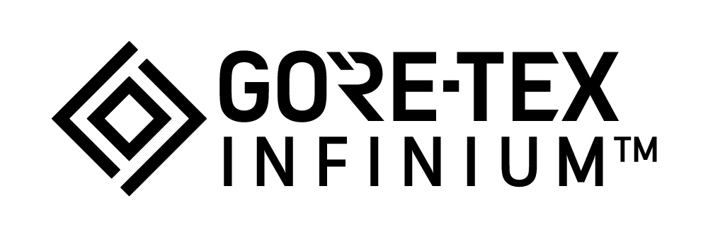 Infinium Logo