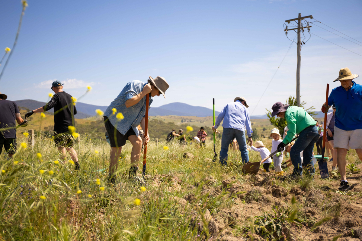 PLANT A TREE CAMPAIGN WITH KEEP IT COOL - OYUKI